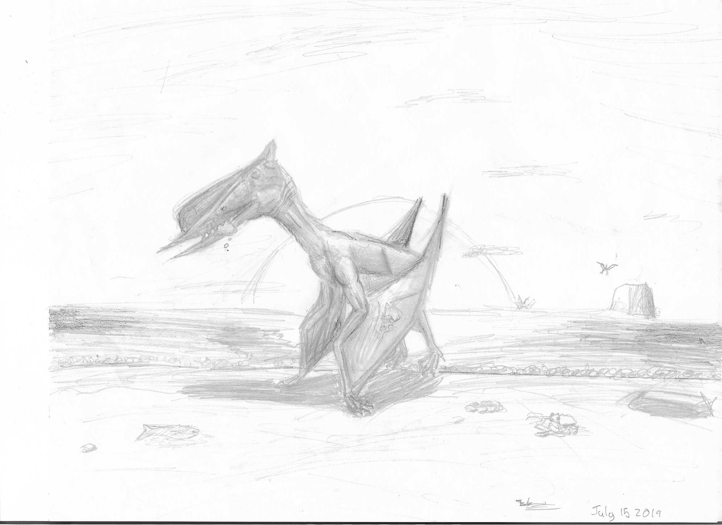 Dsungaripterus – Ishwar's Virtual Home